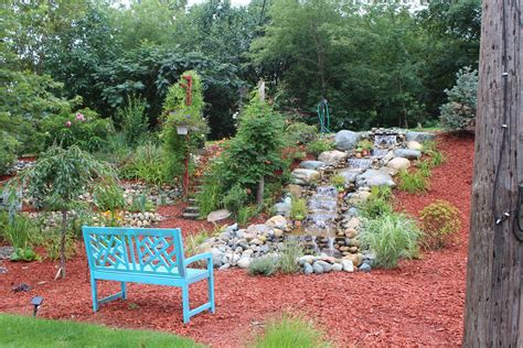 8th june 2024 events - Wadaef