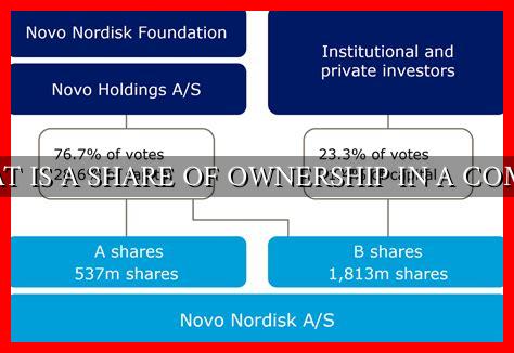 A WHAT IS A SHARE OF OWNERSHIP IN A COMPANY - Wadaef