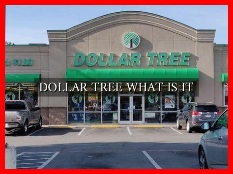DOLLAR TREE WHAT IS IT - Wadaef