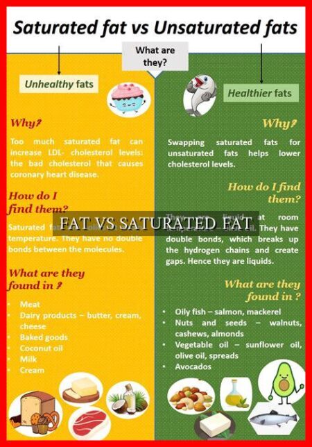 FAT VS SATURATED FAT - Wadaef