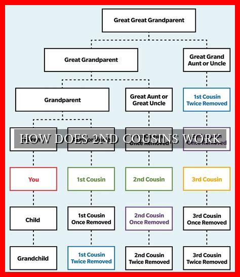 HOW DOES 2ND COUSINS WORK - Wadaef
