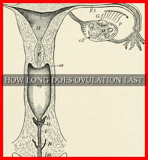 HOW LONG DOES OVULATION LAST - Wadaef HOW LONG DOES OVULATION LAST - Wadaef