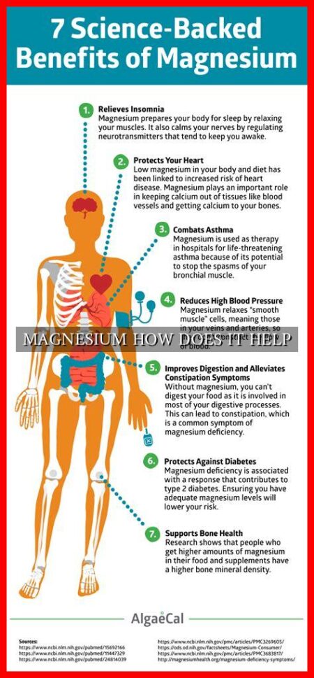 MAGNESIUM HOW DOES IT HELP - Wadaef