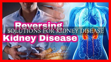 SOLUTIONS FOR KIDNEY DISEASE - Wadaef