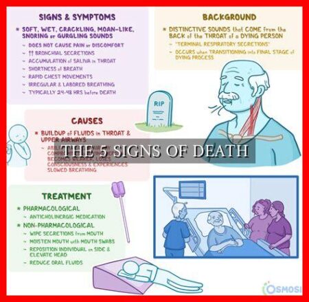 THE 5 SIGNS OF INFLAMMATION - Wadaef