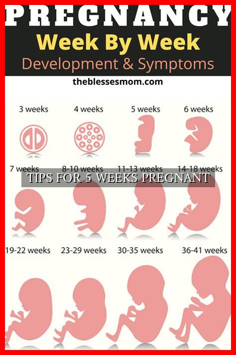 TIPS FOR 5 WEEKS PREGNANT - Wadaef