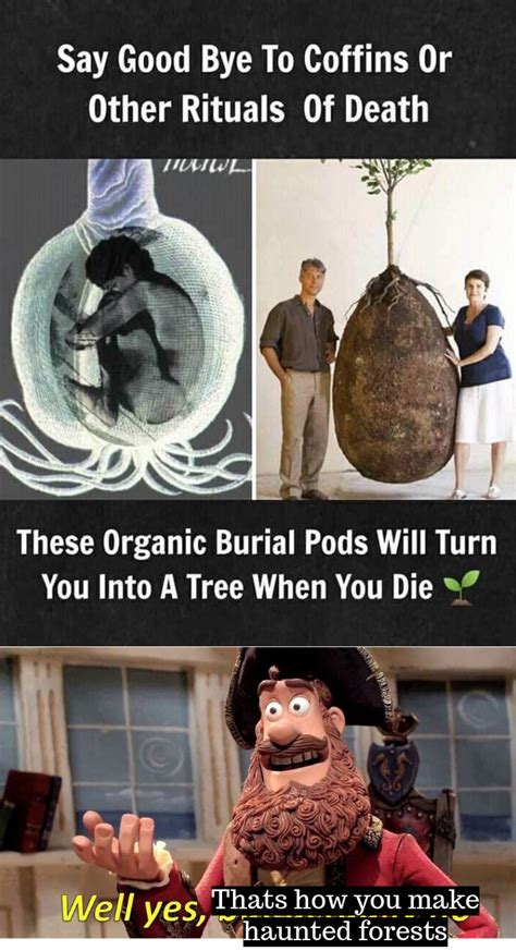 Upgrades people upgrades - Wadaef