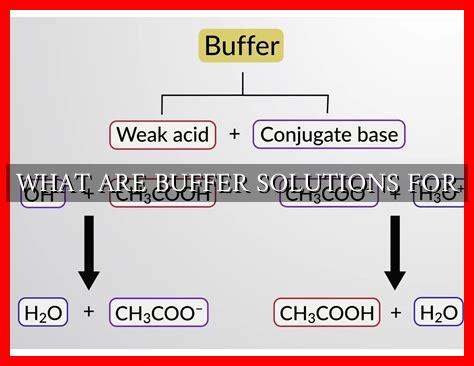 WHAT ARE BUFFER SOLUTIONS FOR - Wadaef