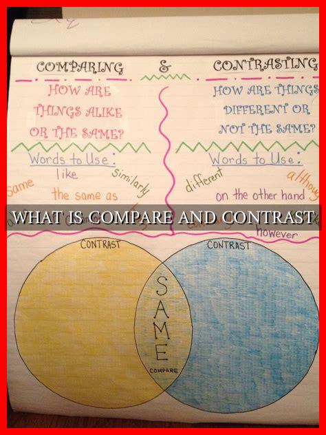 WHAT IS COMPARE AND CONTRAST - Wadaef