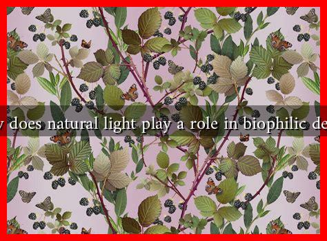 How does natural light play a role in biophilic design - Wadaef