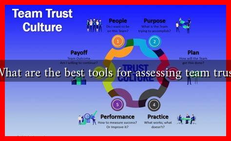 What are the best tools for assessing team trust - Wadaef