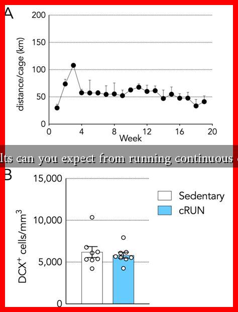 What results can you expect from running continuous campaigns - Wadaef